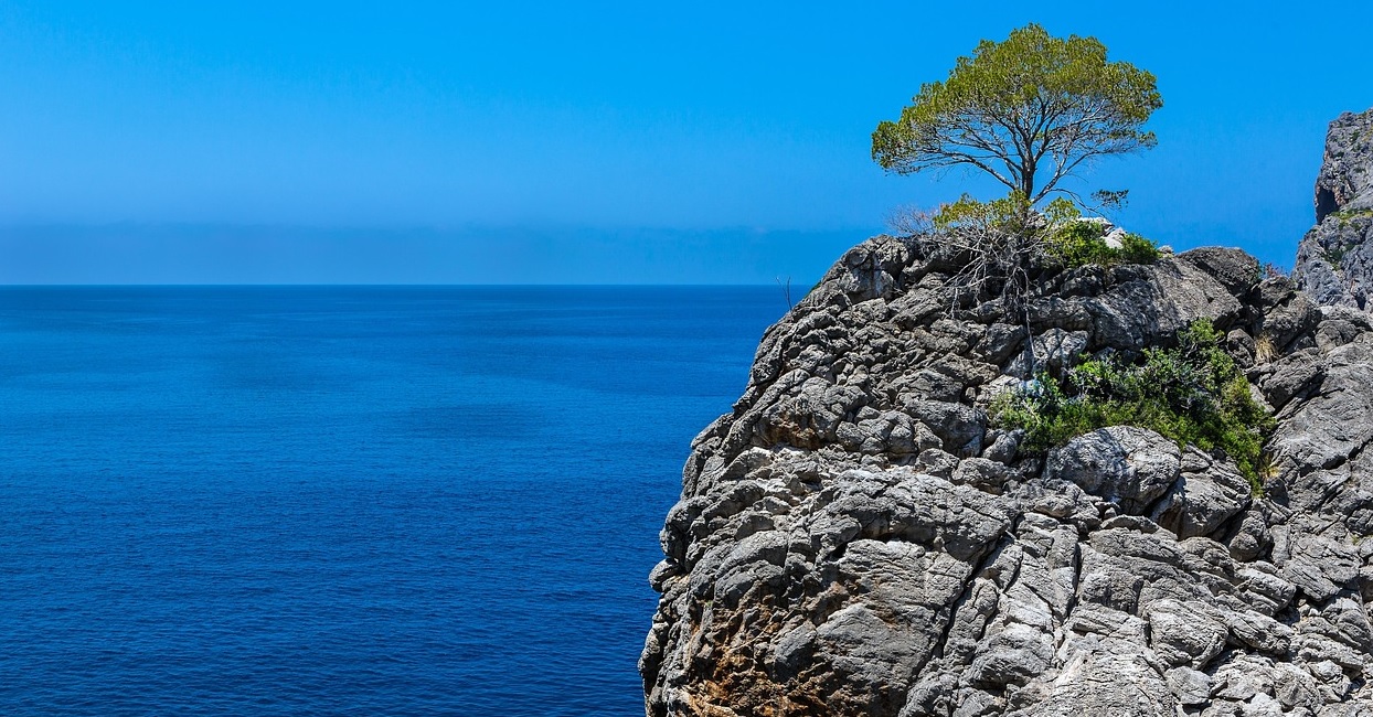 ¿Por qué las aguas de Mallorca son tan cristalinas? - El rincon del saber